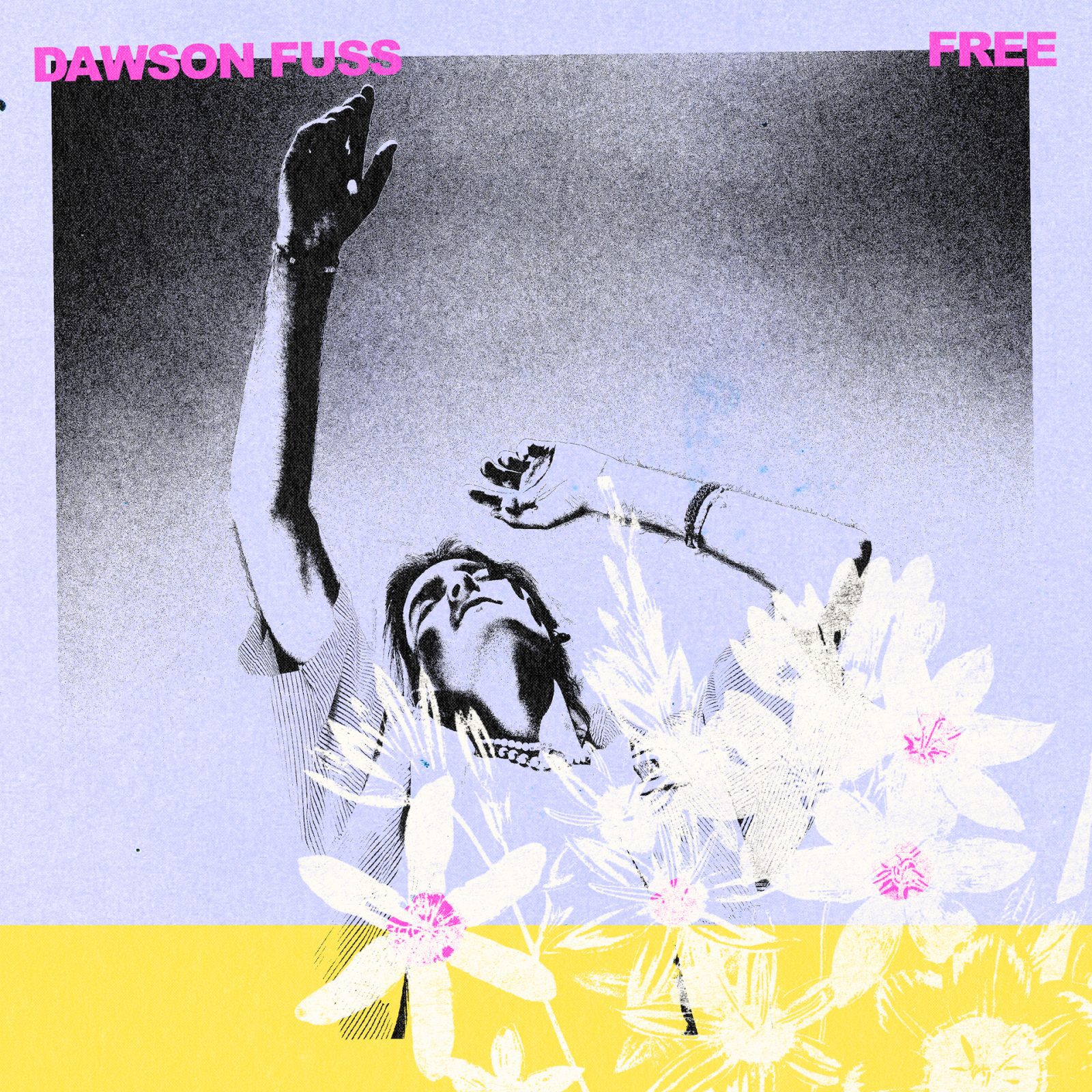 INsiders Guide: Crissi Cochrane, Maygen & The Birdwatcher, Dawson Fuss ...