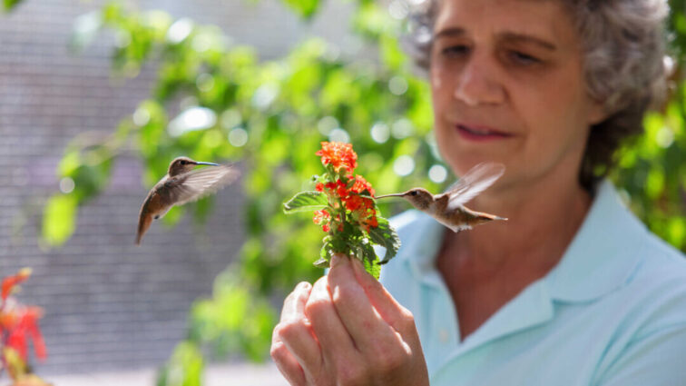 The Review: 'Every Little Thing' Soars Beyond Expectations - OutLoud ...